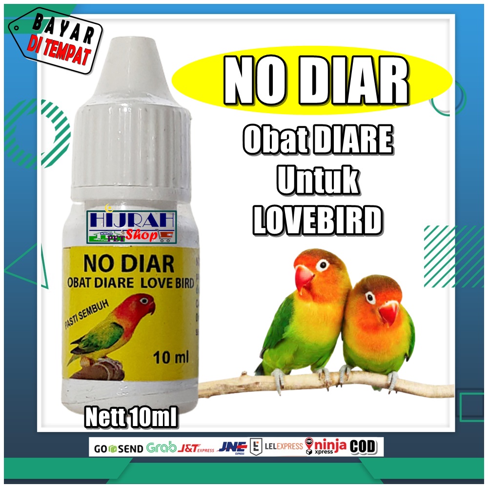 Jual Obat Burung Obat Diare Obat Burung Mencret Untuk Love Bird Pasti ...