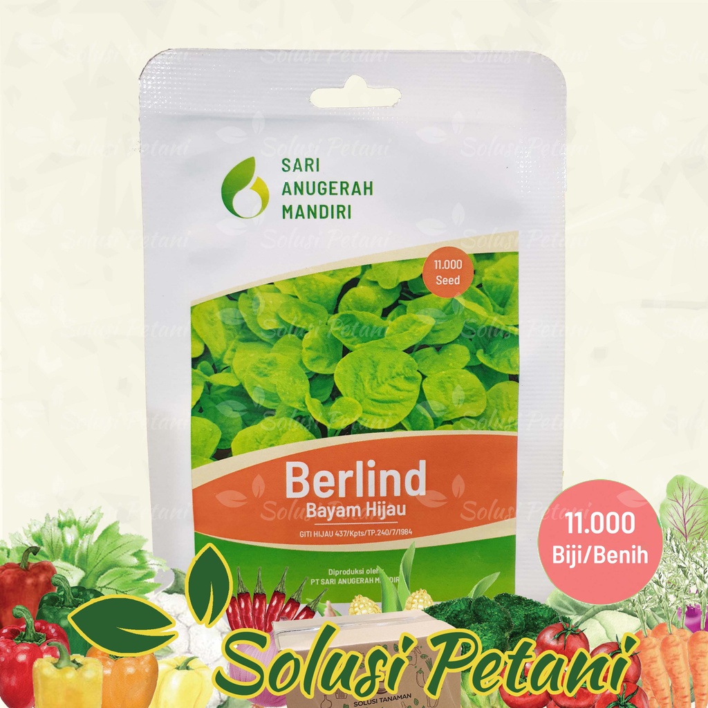 Jual Benih Bayam Hijau Berlind 11.000 Biji Resmi Original Pabrik Bibit ...