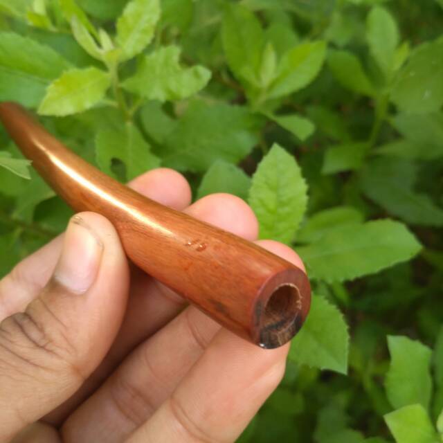 Jual CANGKLONG STIGI LAUT WULUNG POLOS ASLI | Shopee Indonesia