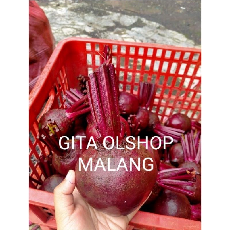 Jual Buah Bit Terlengkap & Harga Terbaru April 2026 | Shopee Indonesia