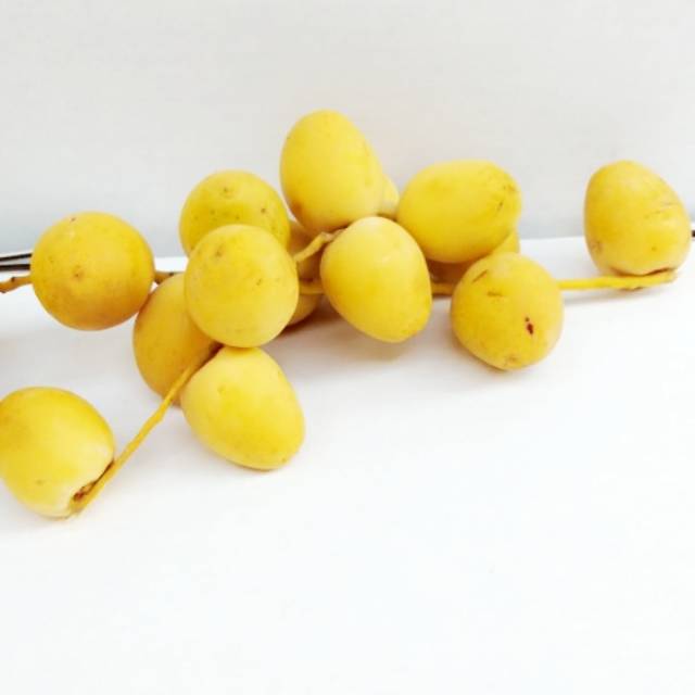 Jual Kurma muda kuning 500gr / Kurma Promil / Kurma Muda / Program ...