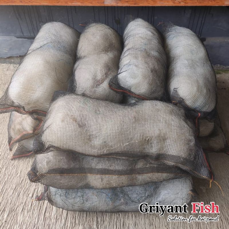 Jual Paket Jaring Media Filter Kolam Koi I Jaring Bekas Nelayan ...