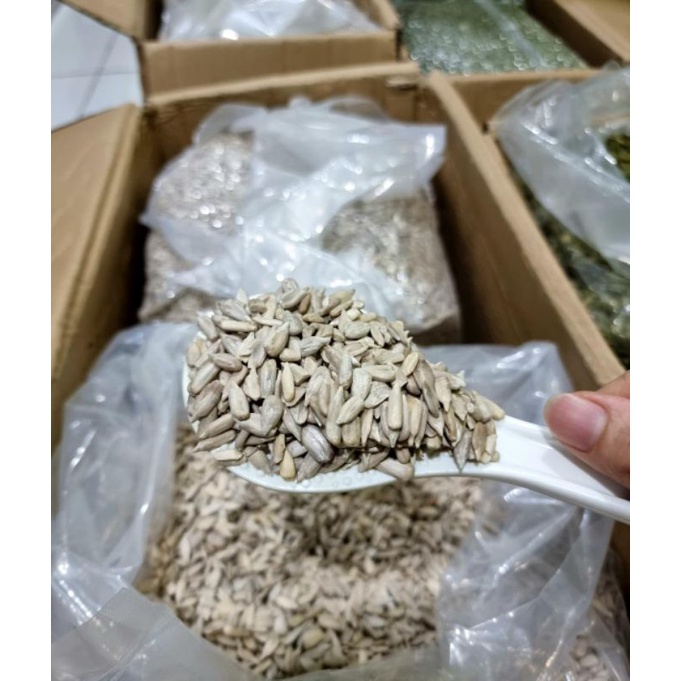 Jual BIJI KUACI//SUNFLOWER SEED 500gr | Shopee Indonesia