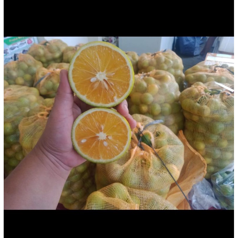 Jual Jeruk Baby Java Malang Manis (Only Surabaya) | Shopee Indonesia