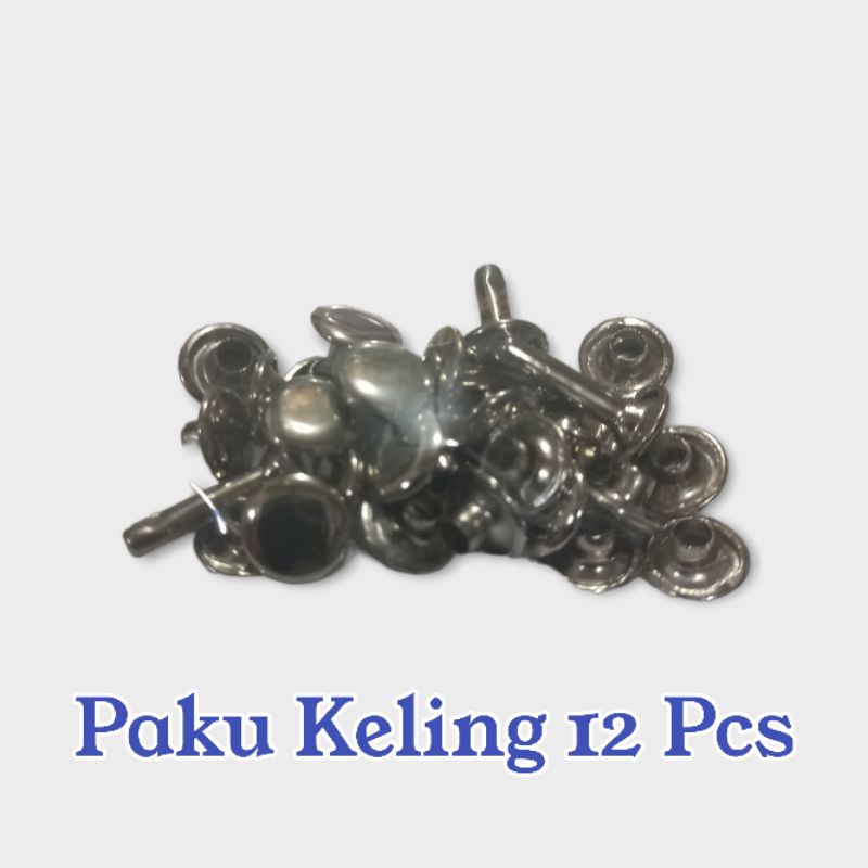 Jual Paku keling 1 lusin (12 pcs) | Shopee Indonesia