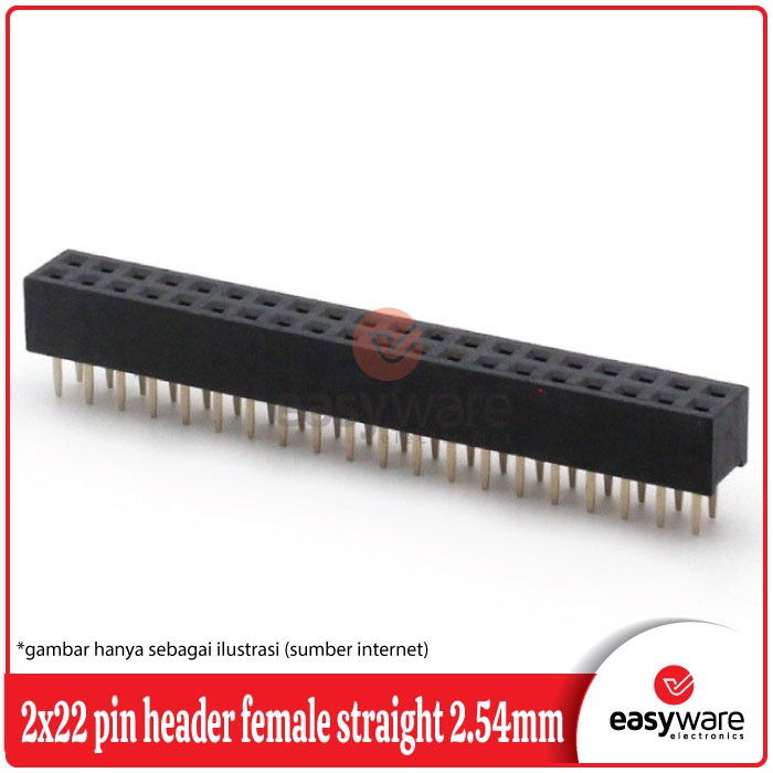 Jual 2x22 pin header female straight 2.54mm | Shopee Indonesia