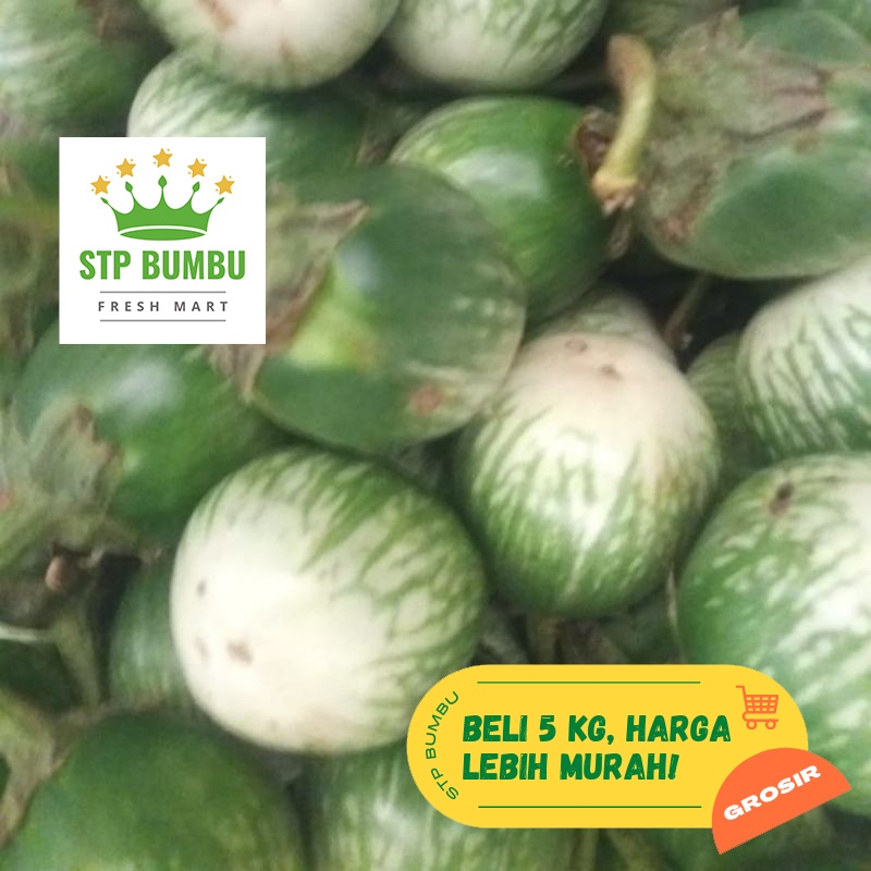 Jual Terong Hijau Bulat Lalap 1kg / Sayur Segar | Shopee Indonesia