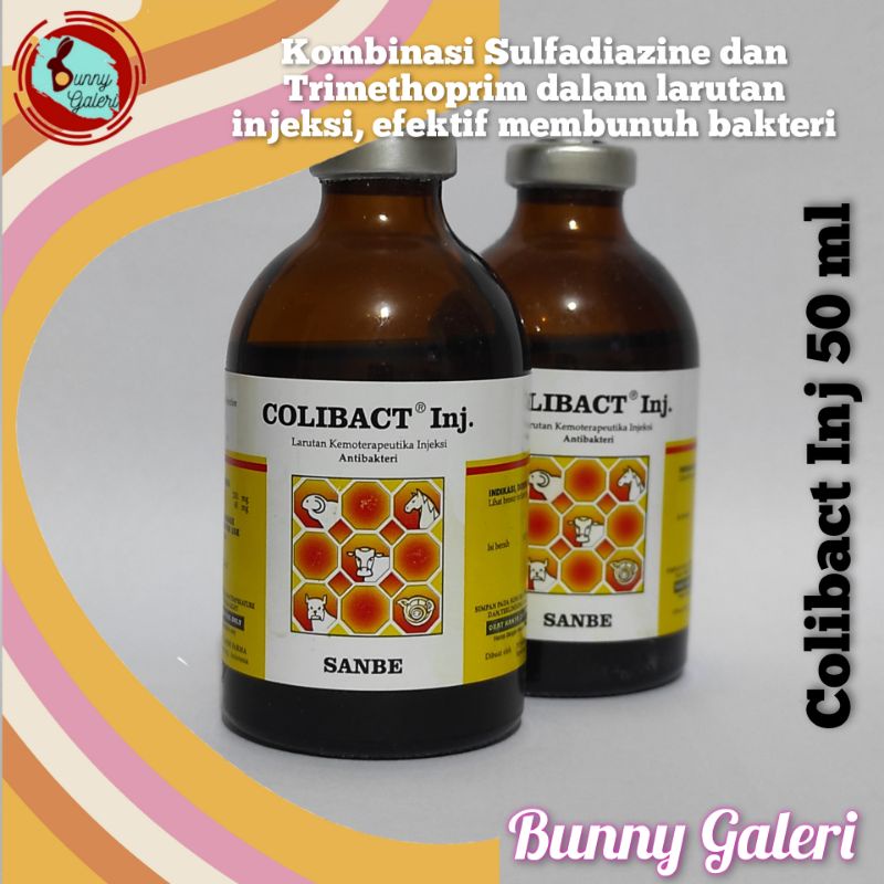 Jual COLIBACT INJ 50 ml, Antibiotik injeksi kombinasi Sulfadiazine dan ... Jual COLIBACT INJ 50 ml, Antibiotik injeksi kombinasi Sulfadiazine dan ...