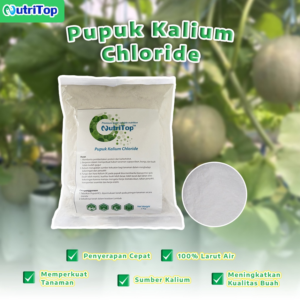 Jual Pupuk Penguat Tanaman Kalium Chloride/ Garam KCl 1 Kg | Shopee ...