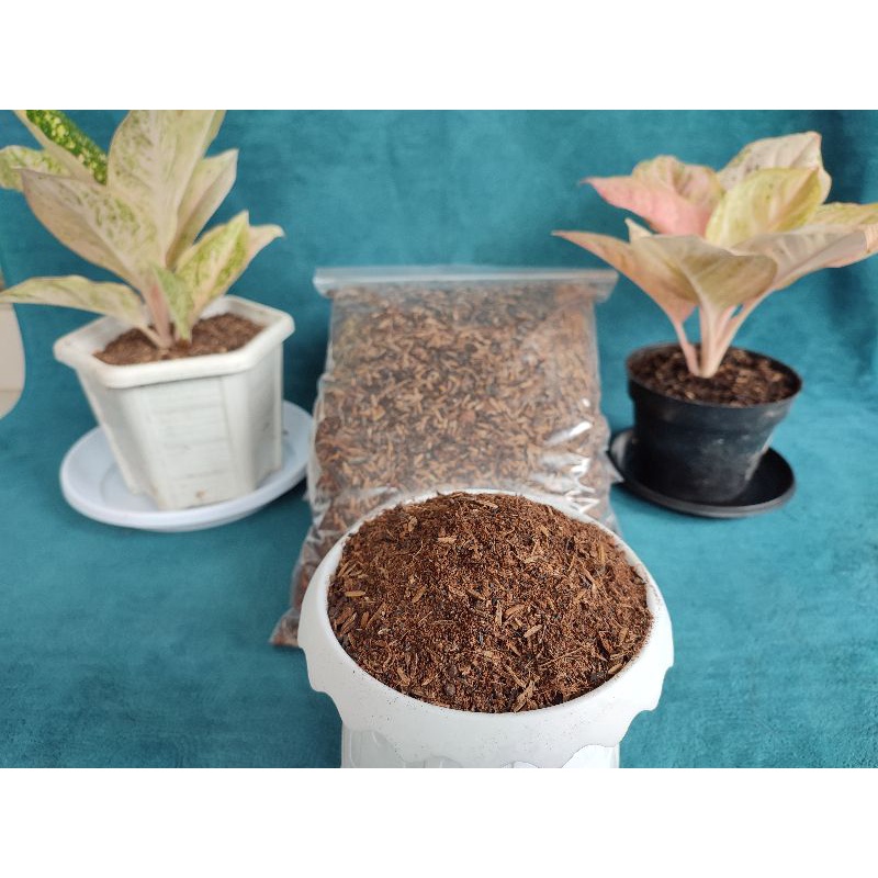 Jual Media tanam premium, kemasan 1kg | Shopee Indonesia