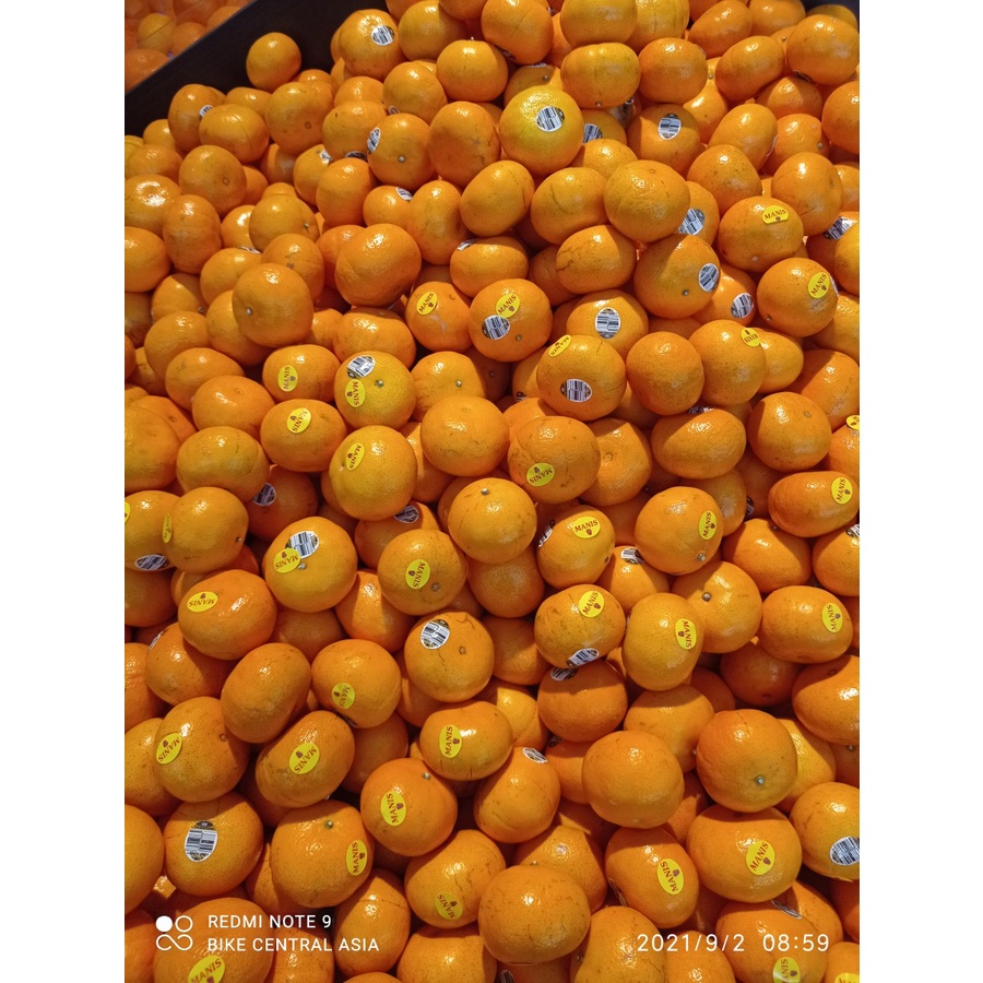 Jual JERUK HONEY MURCOT IMPERIAL AUSTRALIA /KG | Shopee Indonesia