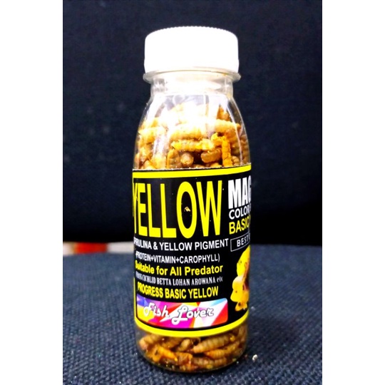 Jual Makanan Ikan Predator Maggot Kering FISH LOVER RED BLUE YELLOW ...