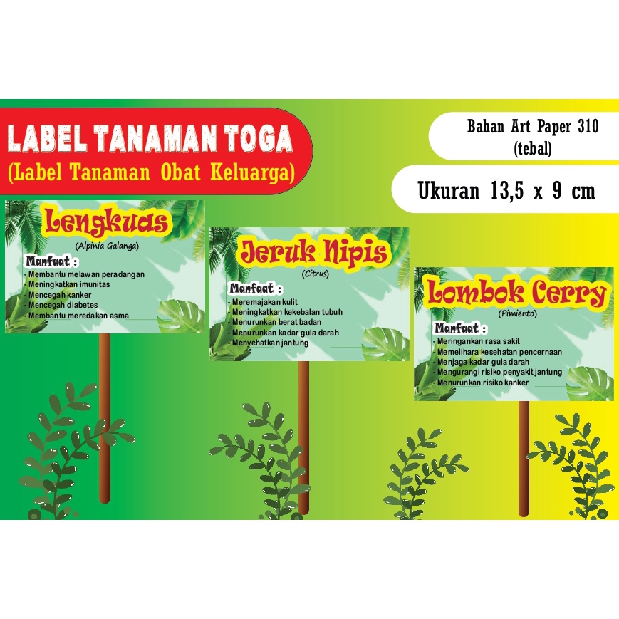Jual Label Tanaman TOGA (Tanaman Obat Keluarga) / Hiasan taman / Hiasan ...
