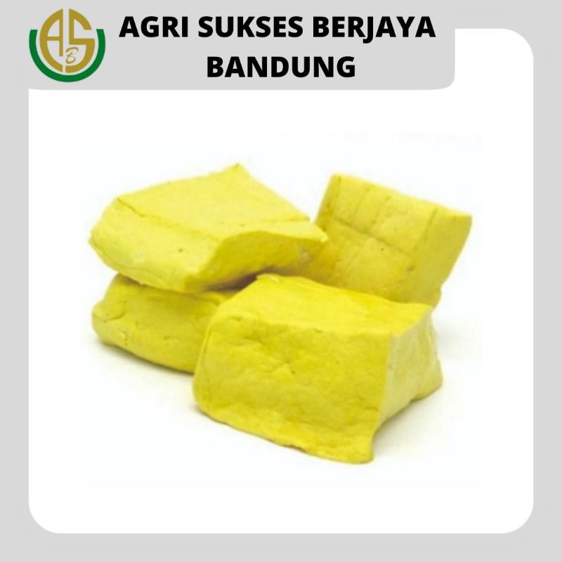 Jual Tahu Kuning - 1 pack ( Isi 10 ) | Shopee Indonesia