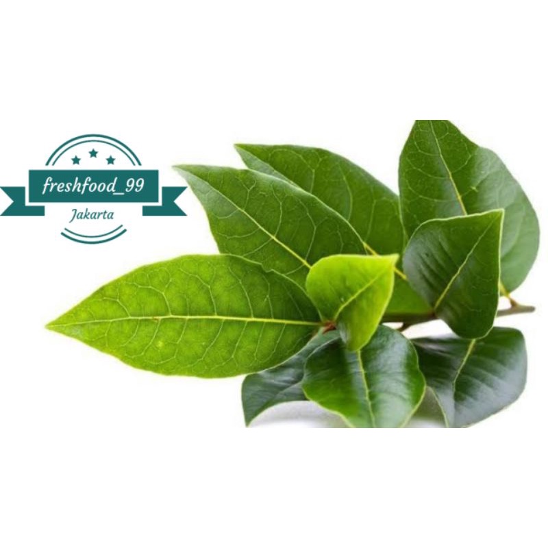 Jual sayuran segar daun salam per pack sayur murah sayur segar | Shopee ...