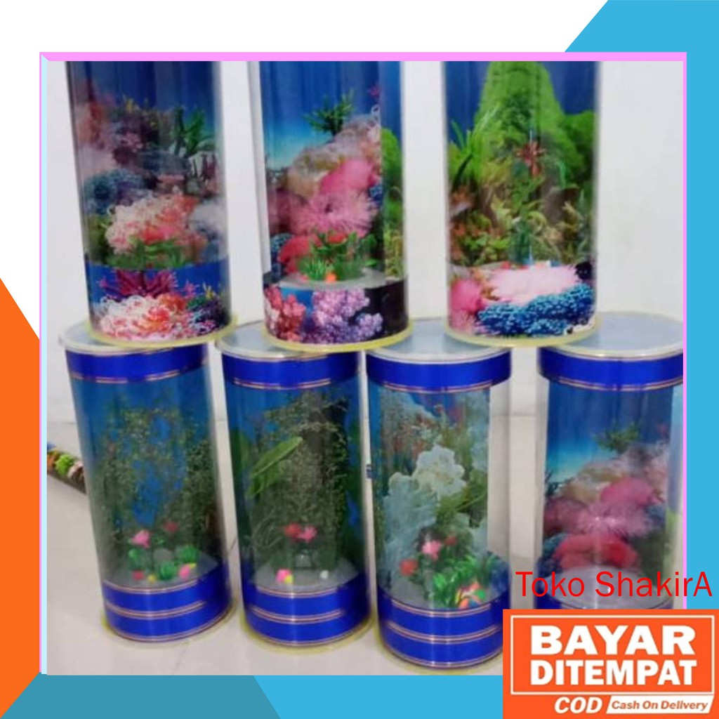 Jual AQUARIUM BULAT AKUARIUM TABUNG IKAN CUPANG Akuarum Aquarun ...