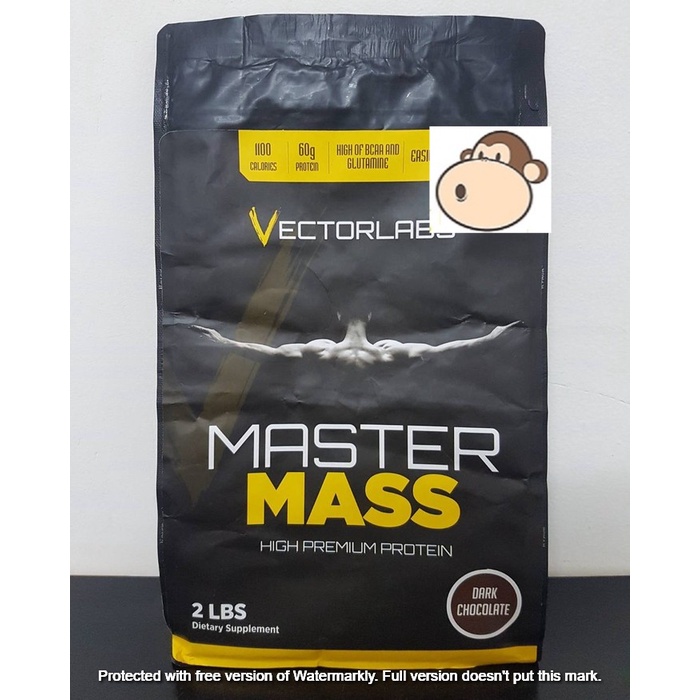 Jual Vectorlabs Master Mass Gainer 2 Lbs BPOM (SEGEL) | Shopee Indonesia