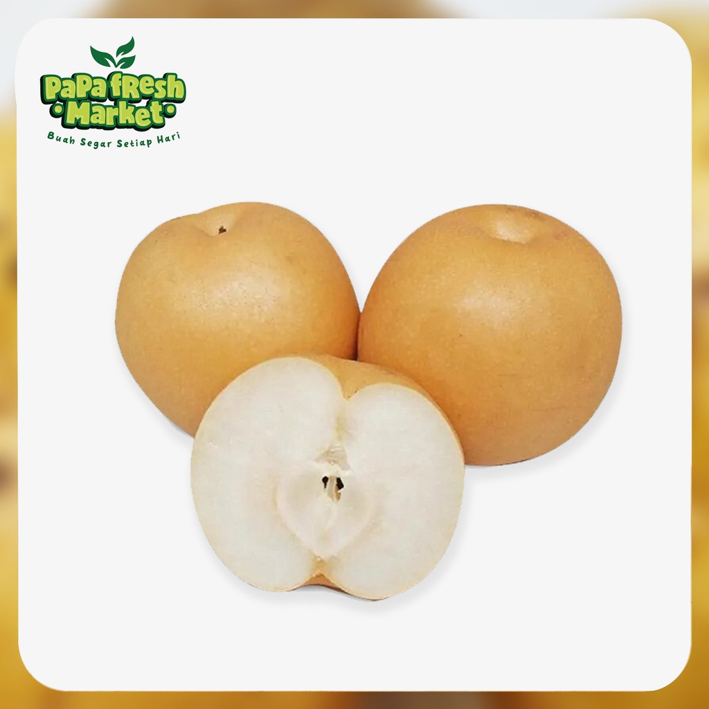 Jual PIR SINGO KOREA - ( 1 BUAH ) | Shopee Indonesia