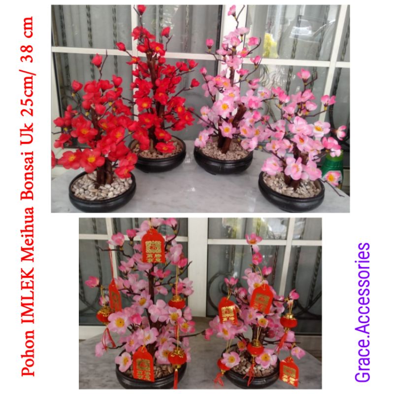 Jual Pohon bunga imlek meihua sakura mehwa | Shopee Indonesia