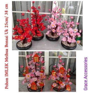 Jual Pohon Imlek Terlengkap & Harga Terbaru Mei 2024 | Shopee Indonesia
