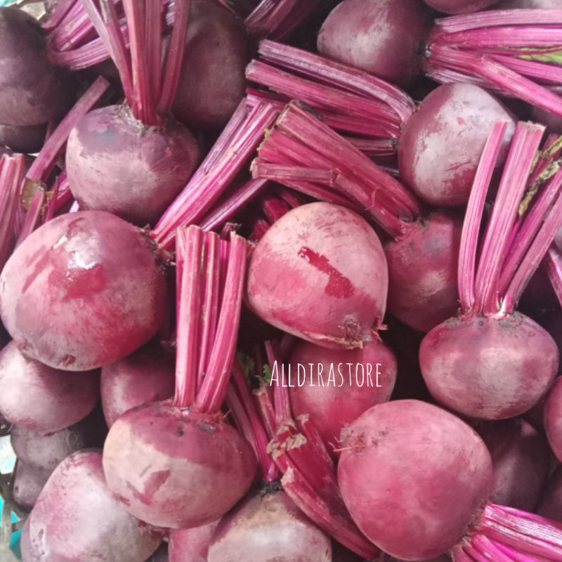 Jual Buah Bit Fresh Kualitas Super 1Kg | Shopee Indonesia