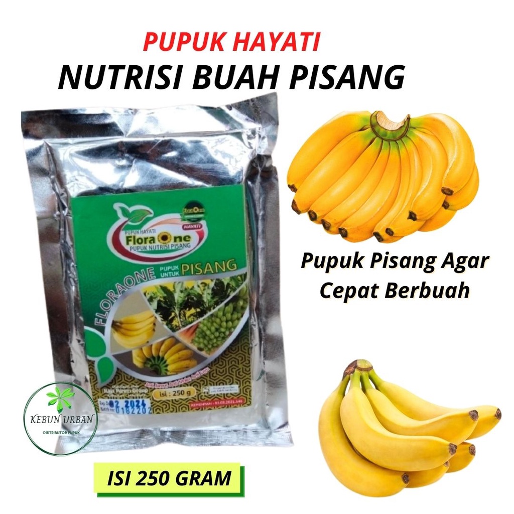 Jual Booster Hayati, Flora One PISANG, Pupuk Pisang Ambon, Fungisida Layu Fusarium Pisang, 250 ...