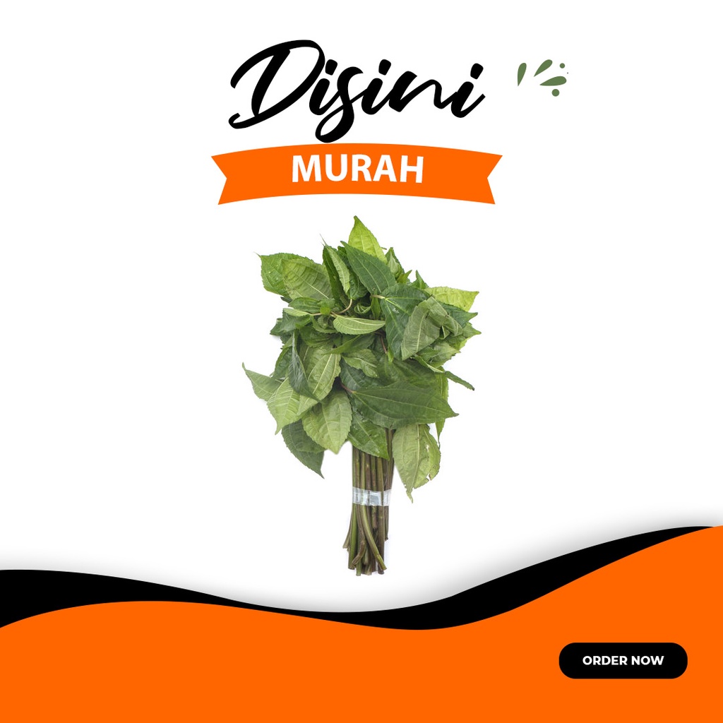 Jual Daun Poh Pohan per ikat | Shopee Indonesia