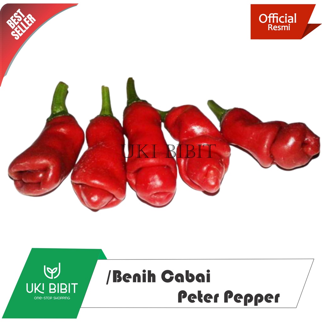 Jual ( 5 Butir ) Benih Biji Cabe Peter Pepper | Shopee Indonesia