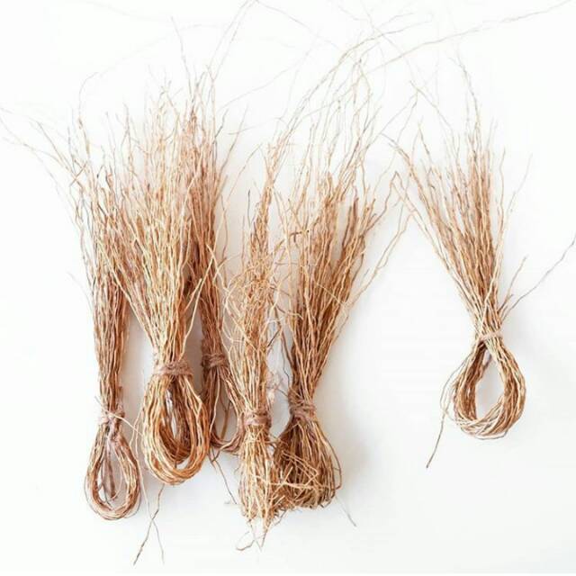 Jual AKAR WANGI / AKAR KERING / PROPERTI FOTO /RANTING KERING | Shopee ...