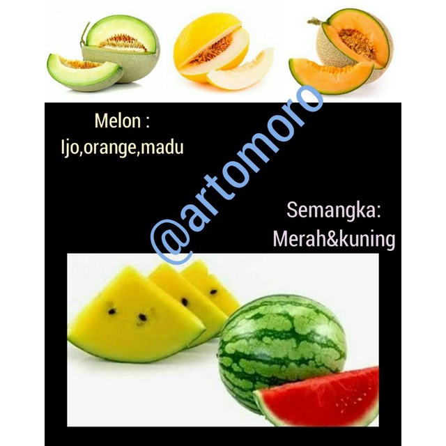 Jual Buah semangka, Melon madu & Melon (merah,kuning,orange,hijau ...