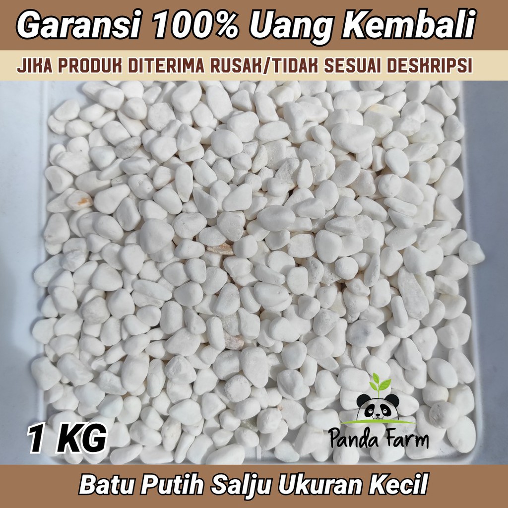 Jual Batu Alam Koral Tabur Kerikil Hias Putih Salju Uk Kecil - 1 Kg | Shopee Indonesia