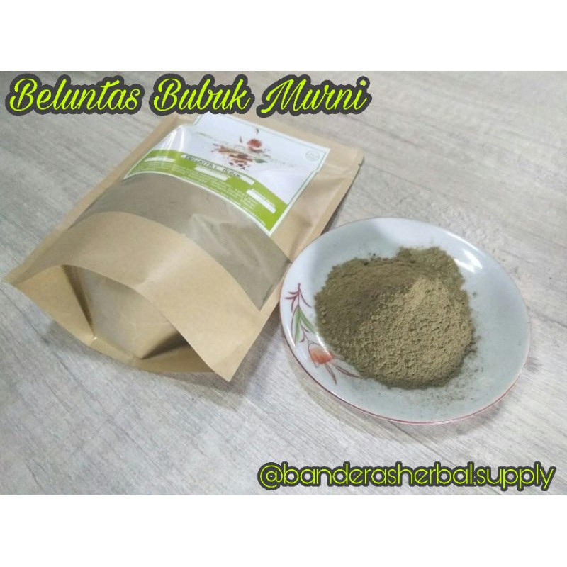 Jual (FRESH) Daun Beluntas Bubuk Murni 250gr - Pluchea Indica Powder ...
