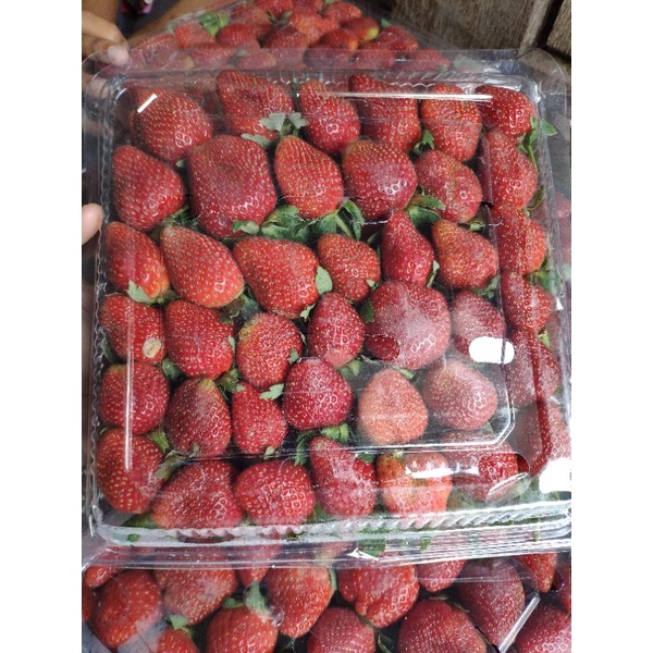 Jual Strawberry Frozen kemasan 1kg/Strawbery Frozen IMPORT | Shopee ...