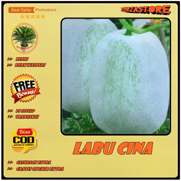 Jual biji/benih/bibit tanaman labu cina /10 biji | Shopee Indonesia