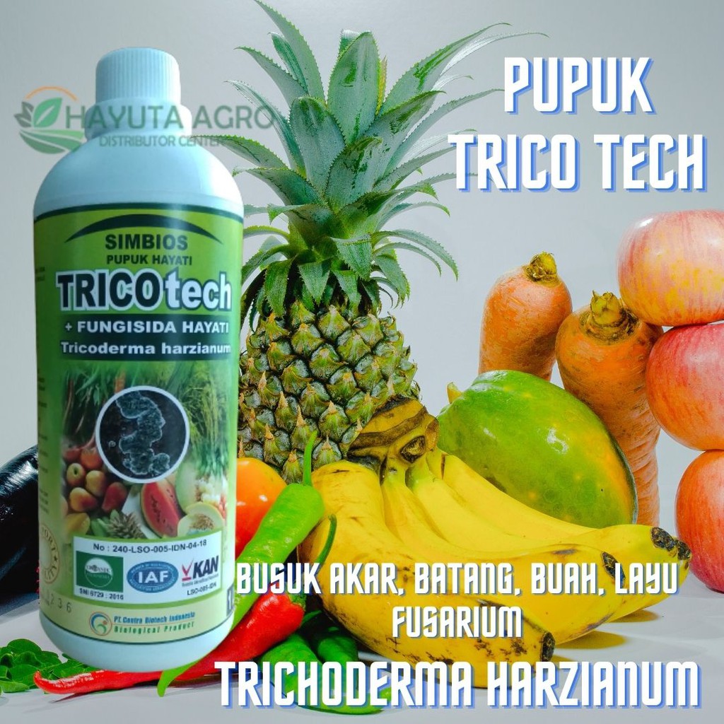 Jual Pupuk Tricoderma Cair, Trichoderma Hayati Anti Moler, Layu ...