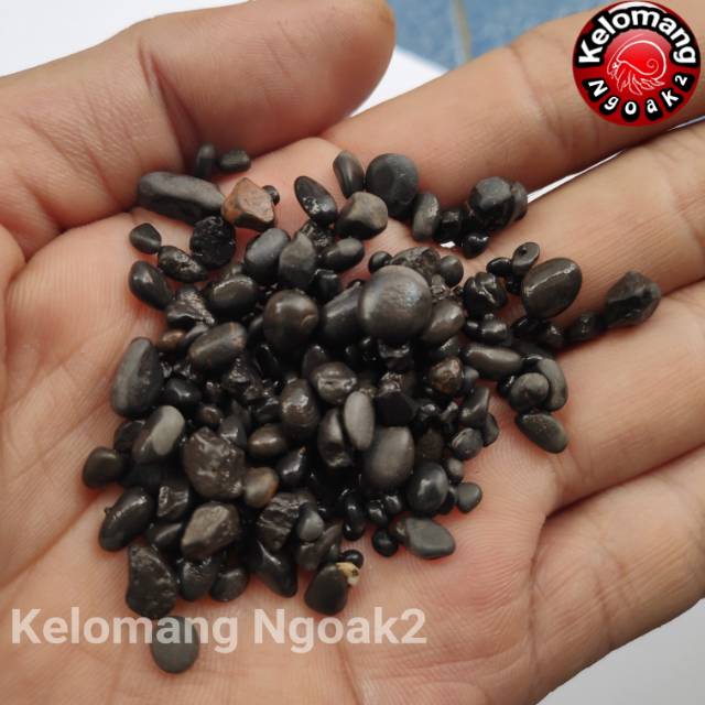Jual Batu Alor kecil 1000 gram | Shopee Indonesia