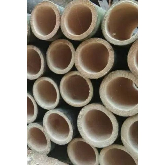 Jual POTONGAN BAMBU BESAR TINGGI 50 CM | Shopee Indonesia