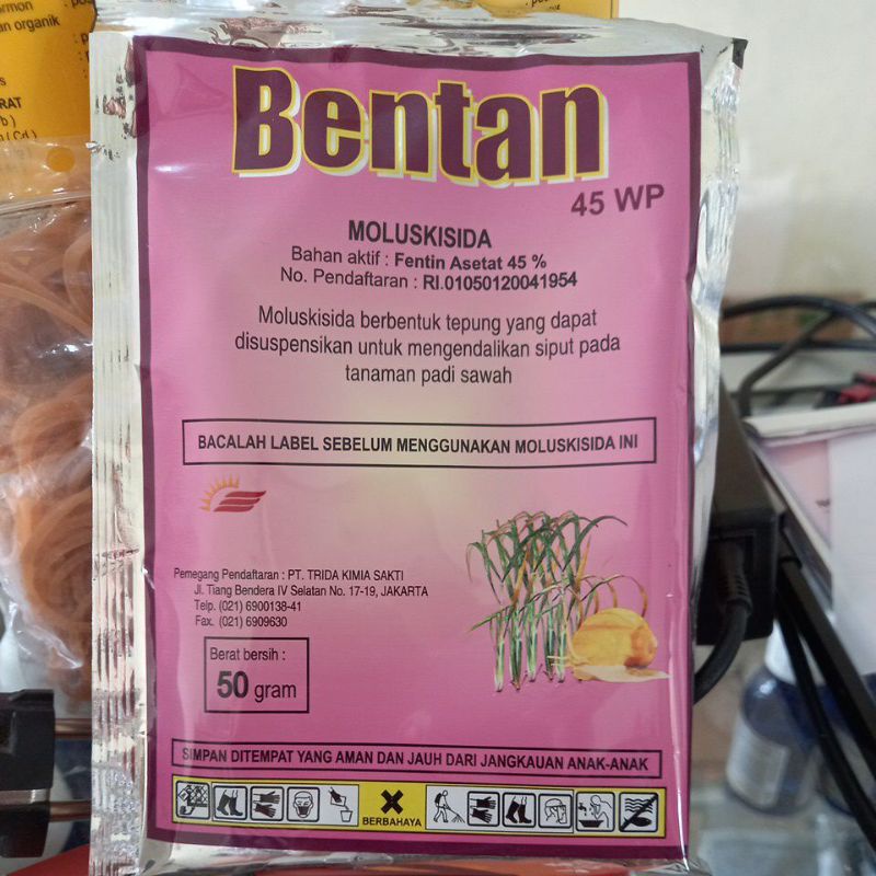 Jual MOLUKISIDA BENTAN 50 GRAM | Shopee Indonesia