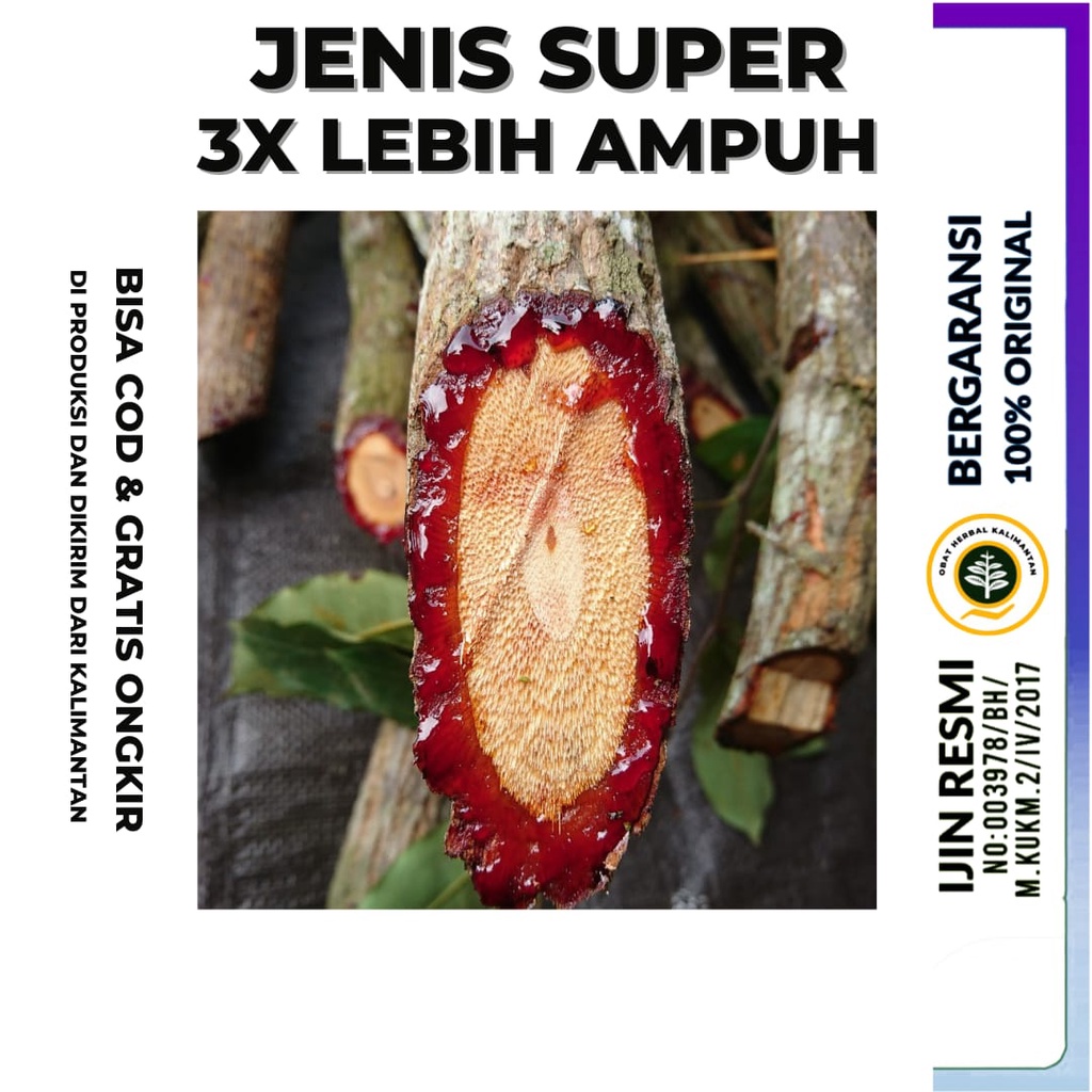 Jual Akar Bajakah Asli Kalimantan Teh Kayu Bajakah Asli Kalimantan ...