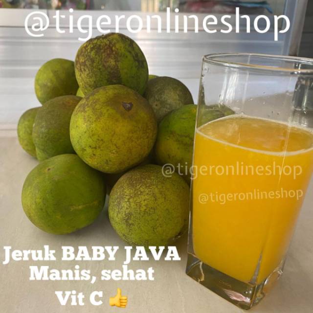 Jual Jeruk buah manis baby java | Shopee Indonesia