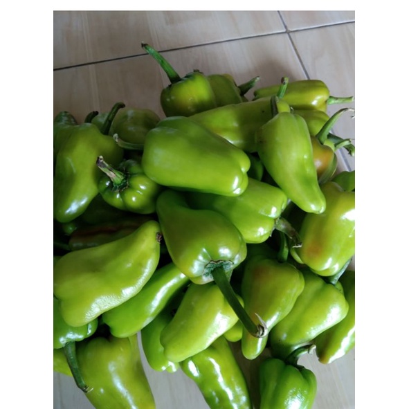 Jual cabe besar | Shopee Indonesia