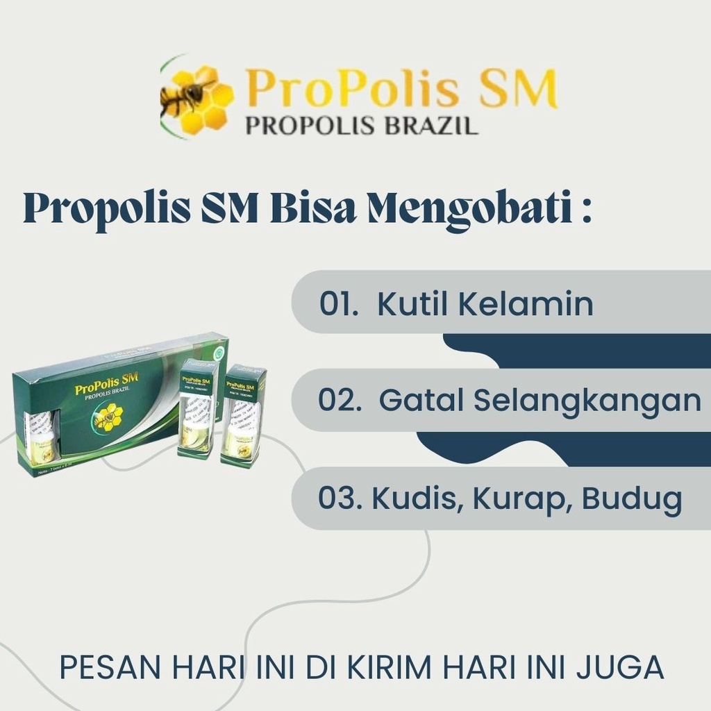 Jual Obat Oles Scabies - Obat Borok - Obat Kudis Kurap - Obat Scabies ...