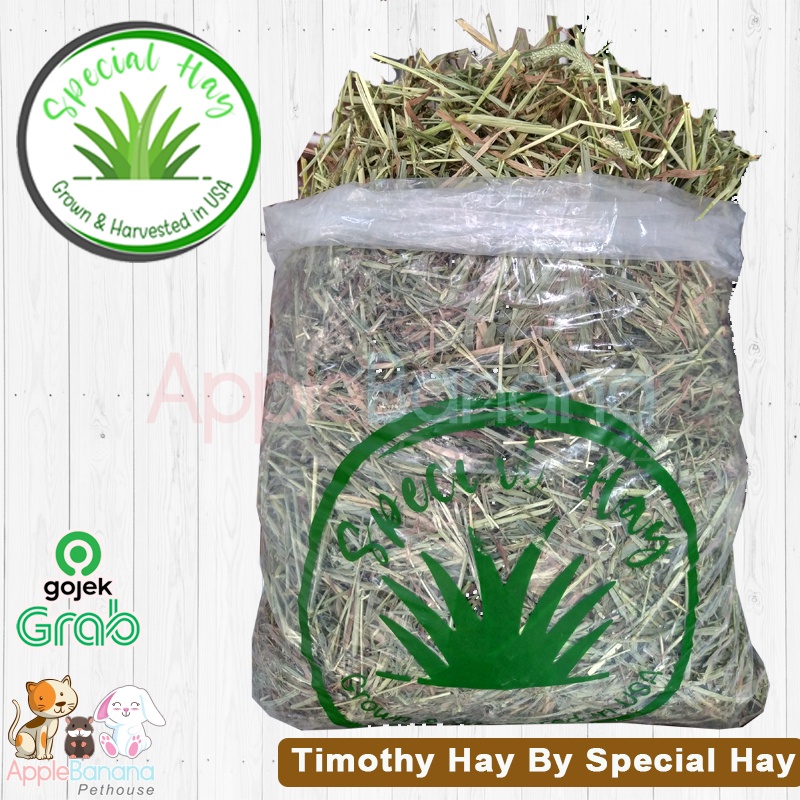 Jual makanan kelinci rumput timothy hay 500 gr Special Hay-Special Hay ...