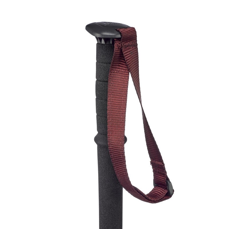 Jual Decathlon Quechua 1 Pole Arpenaz 200 Purple - 8383419 | Shopee ...