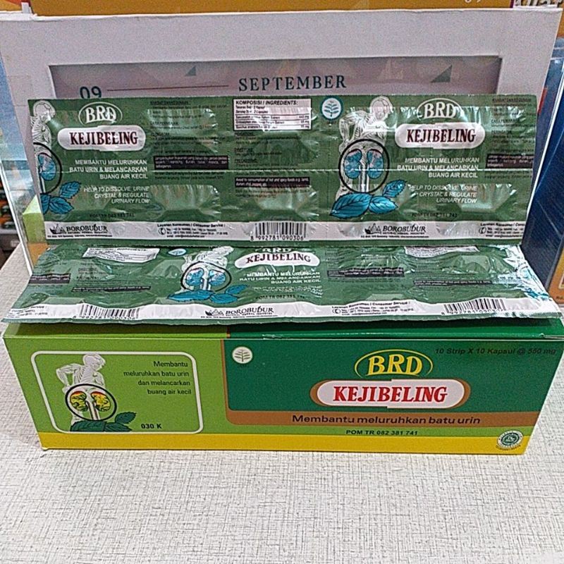 Jual Keji Beling BOROBUDUR BOX isi 100 KAPSUL | Shopee Indonesia