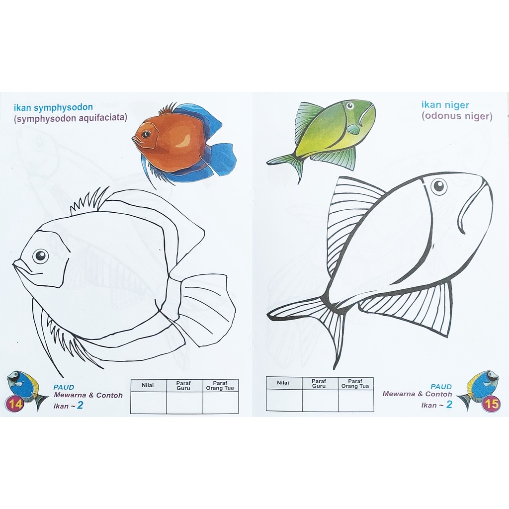 Jual Buku Paud Mewarna Dan Contoh Ikan 2 Untuk Paud Dan TK | Shopee ...