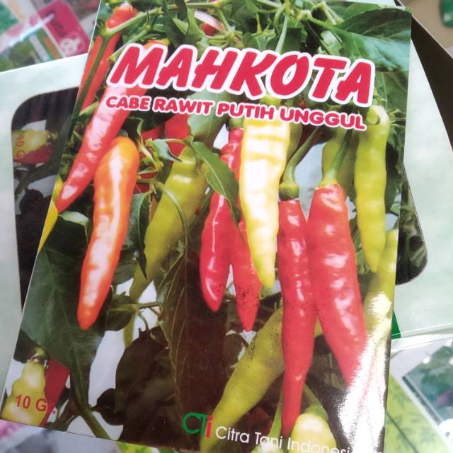 Jual Mahkota 10gr Benih Cabai/Cabe Rawit Putih Unggul | Shopee Indonesia