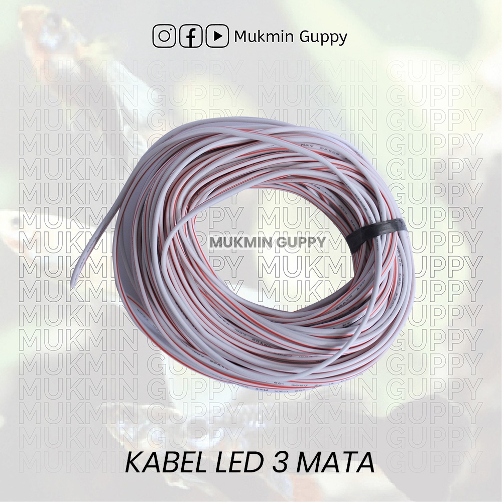 Jual Kabel LED Modul 1 Meter | Shopee Indonesia