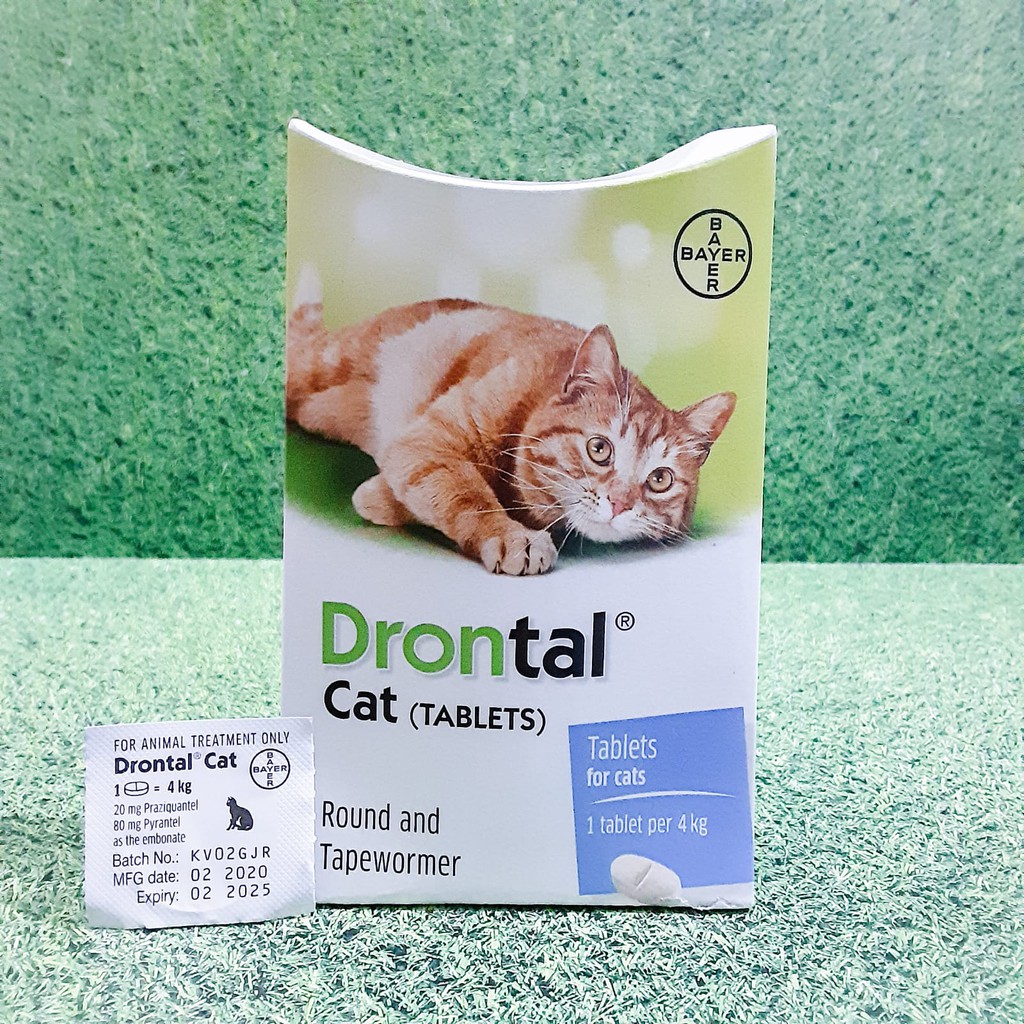 Jual Drontal Cat Per Tablet | Shopee Indonesia
