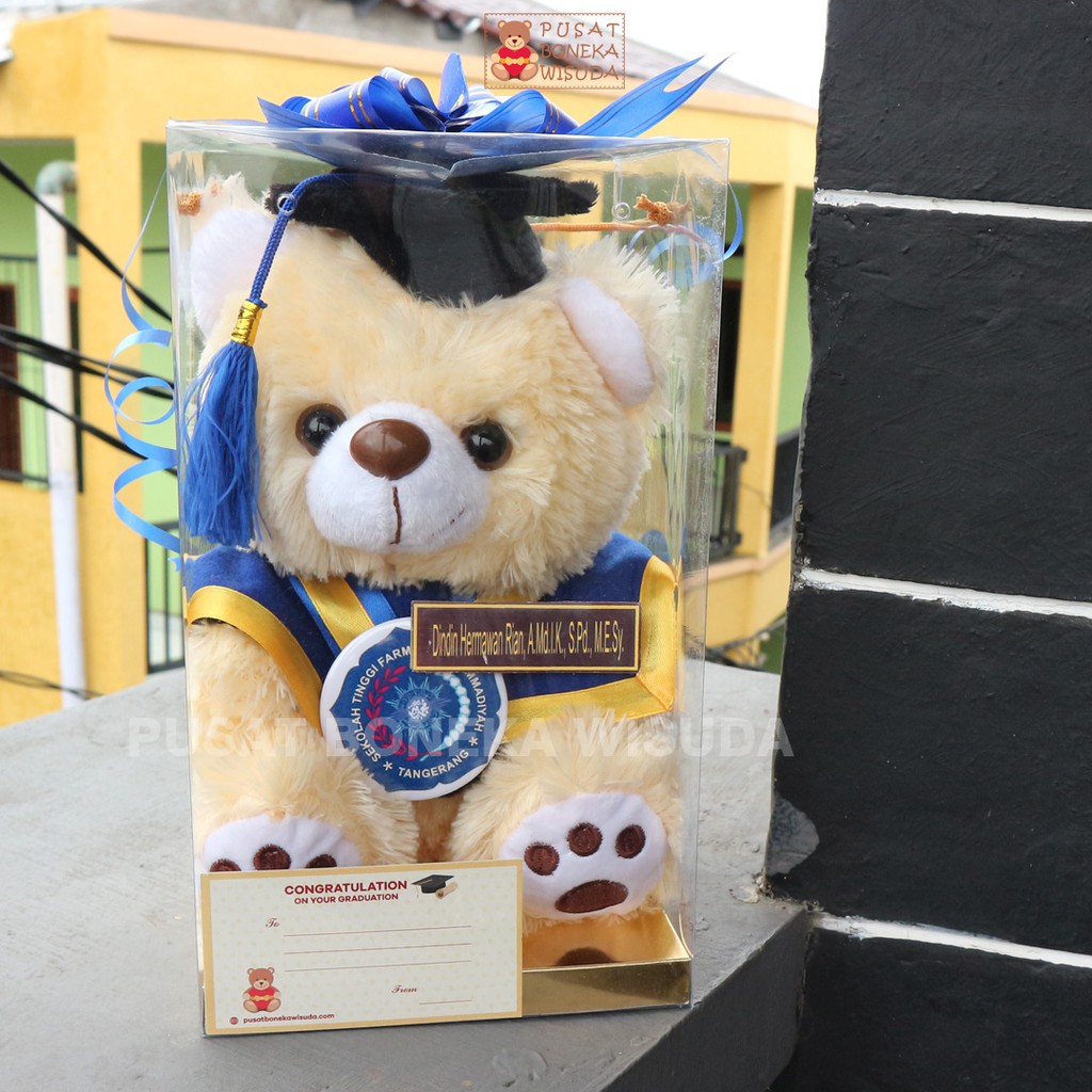 Jual Awet Boneka Wisudah Teddy Bear Sedang Custom Ada Nama Mika Tedy ...